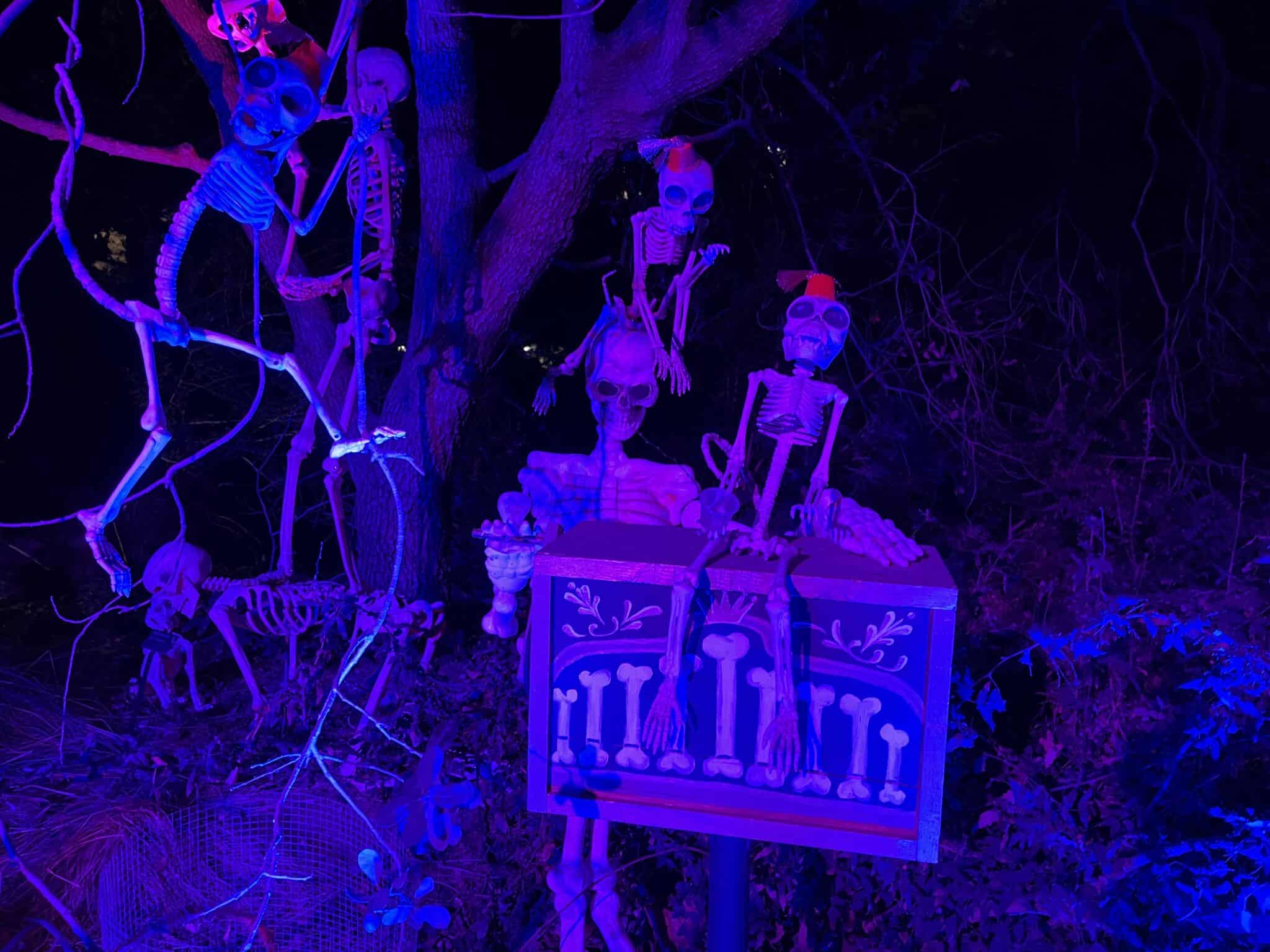 Boney Island - Experience a Night of Halloween Fun in Los Angeles
