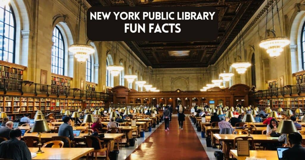 Fun Facts About the New York Public Library